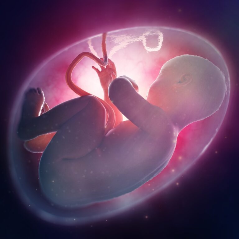 Perda de Líquido Amniótico – Guia do Bebê